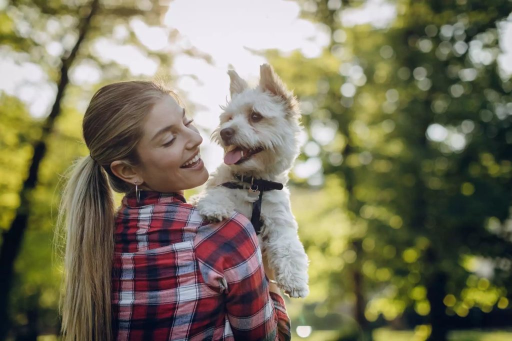 Veterinarian & Animal Hospital in Gilbert, AZ | Priority Pet Hospital